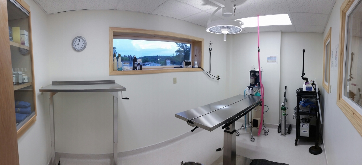 Virtual Hospital Tour | Veterinarian | Intensive Care Stalls ...